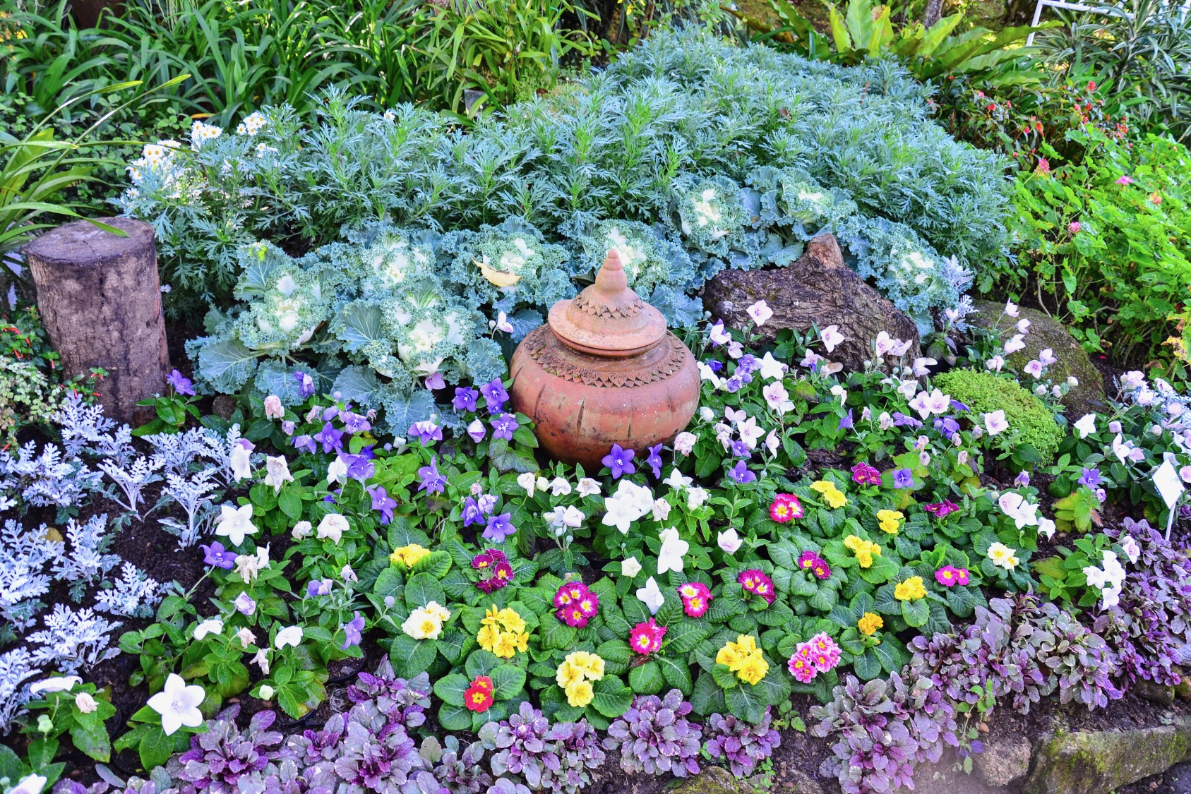 Mix it up with edible landscaping - Signal Akron