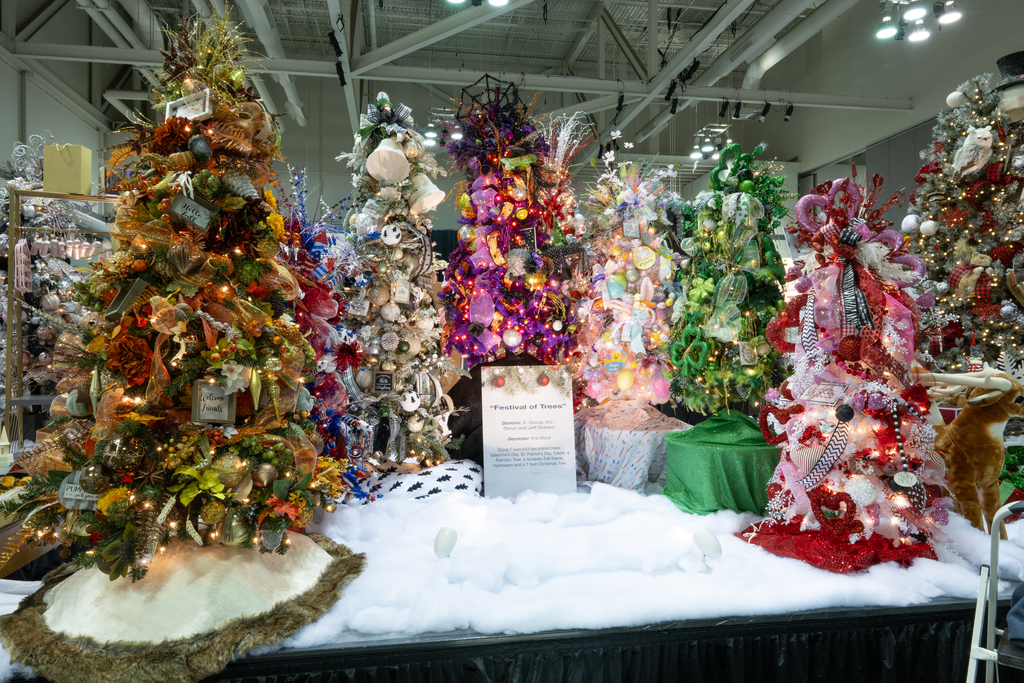 Holiday Tree Festival kicks off: This weekend in Akron - Signal Akron